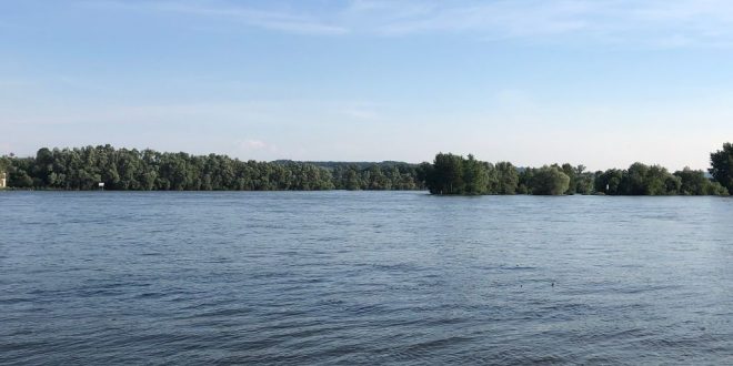 MASOVNI POMOR RIBE U NJEMAČKOJ: Otkriven uzrok ogromnog zagađenja ...