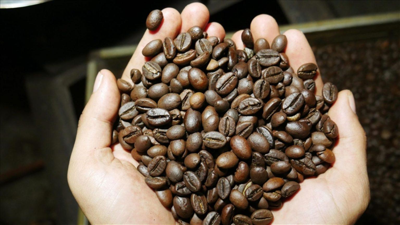 JEFTINIJA ILI SKUPLJA? Stiftung Warentest testirao je 15 filter kava ...